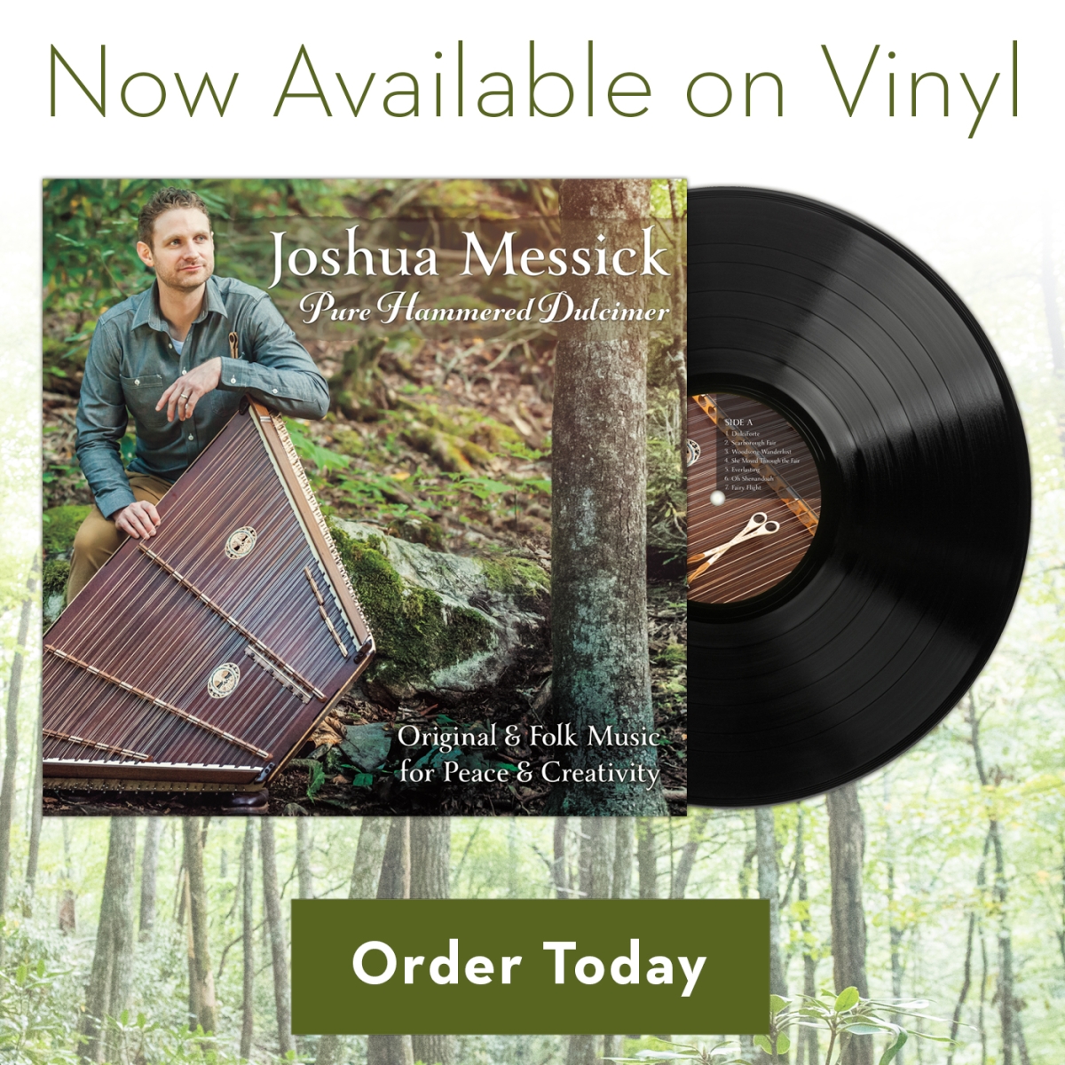 Pure Hammered Dulcimer - Joshua Messick